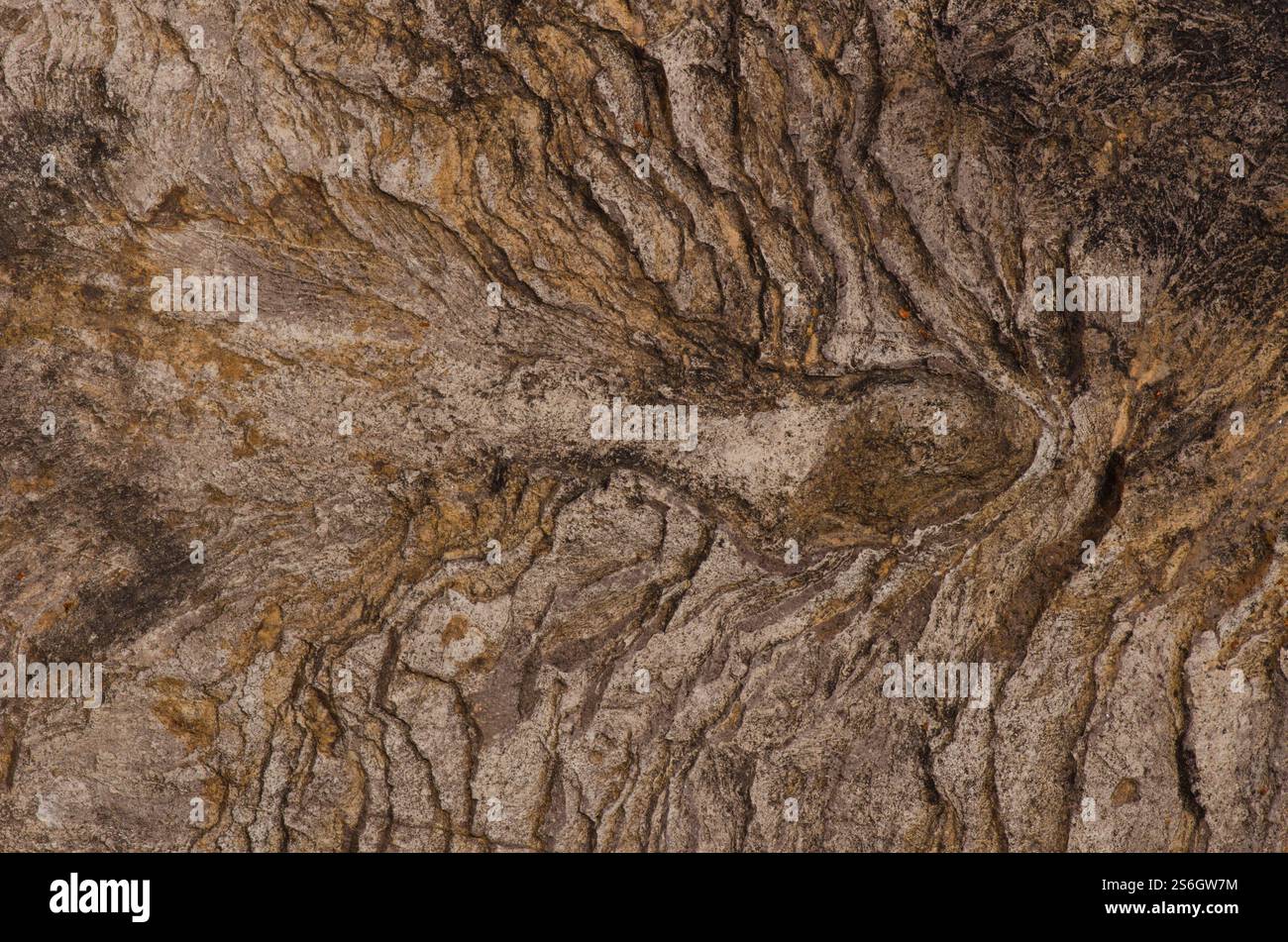 Marks on the surface of a rock. Integral Natural Reserve of Inagua ...