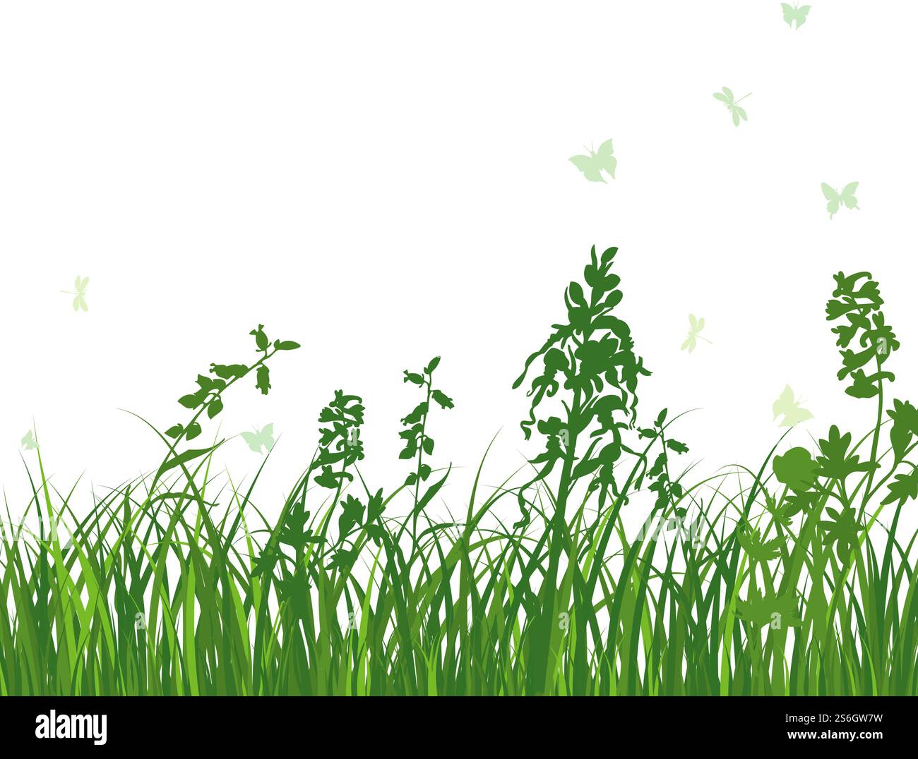 Green spring meadow grass. Fresh color plants, seasonal growth grass ...