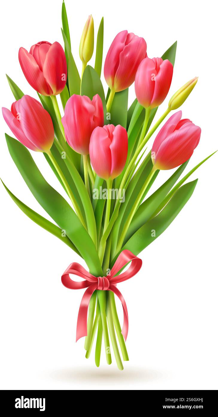Tulips bouquet. Realistic 3d spring holland flowers for international ...