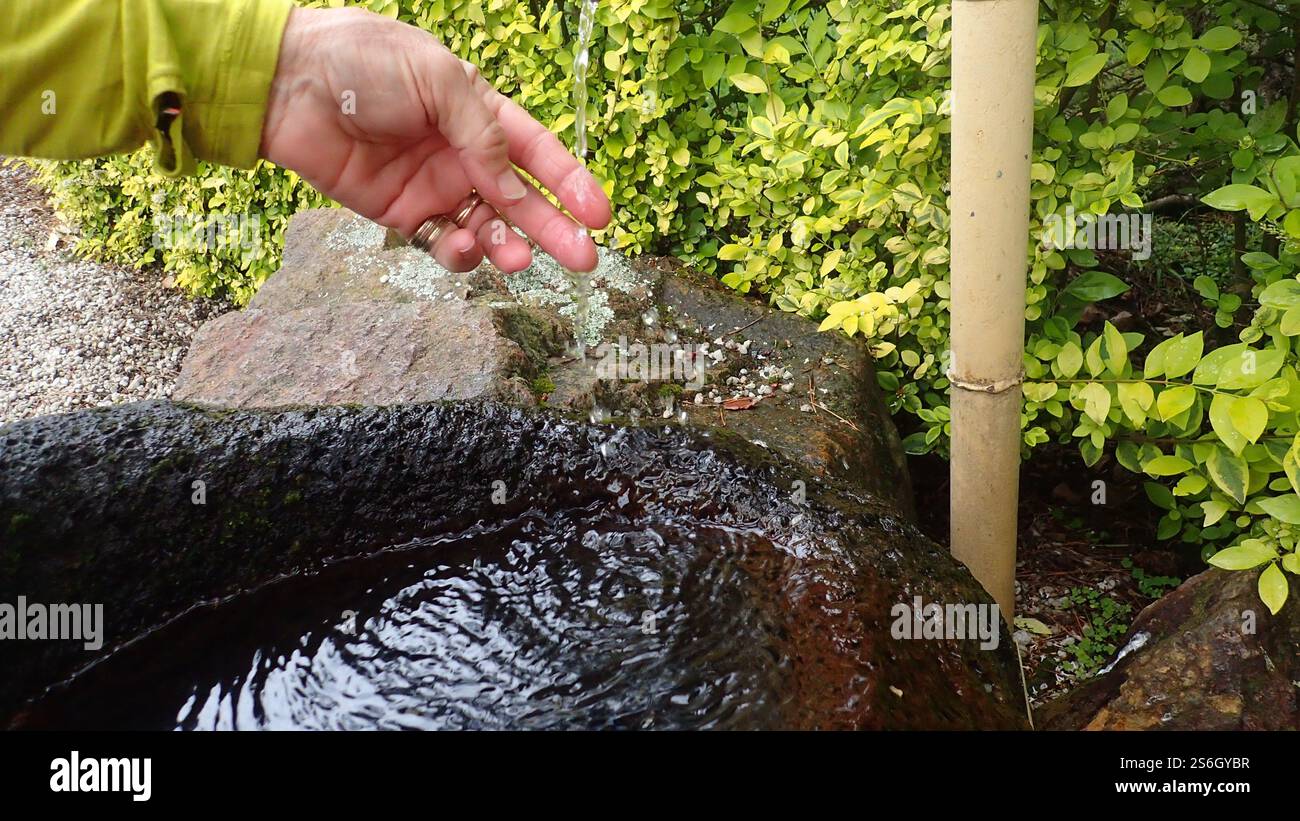 In Hobart's Botanic Garden, a little water falls over a woman's hand ...