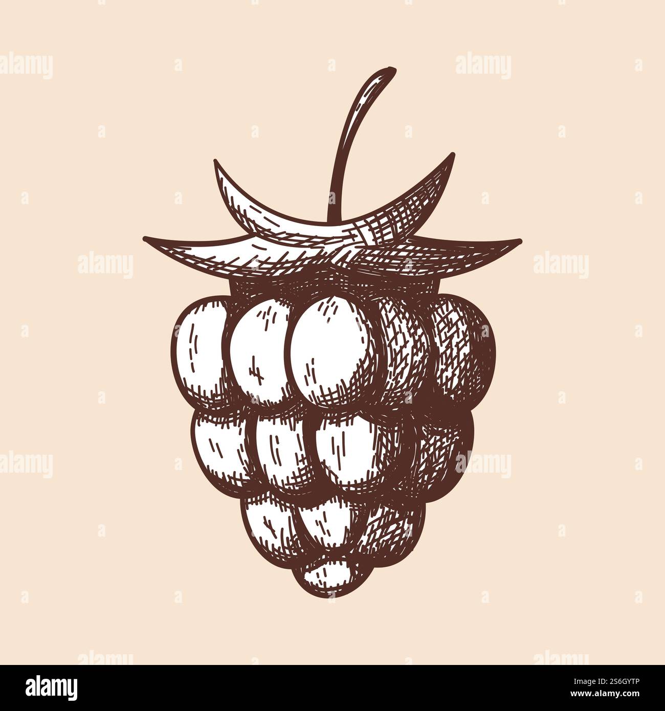 Icon Of Raspberry. Hand Drawn Sketch. Retro Vintage Design. Vector ...
