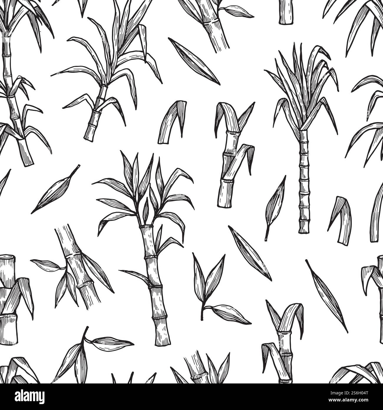 Sugar plant seamless pattern. Hand drawn sugarcane vector background ...