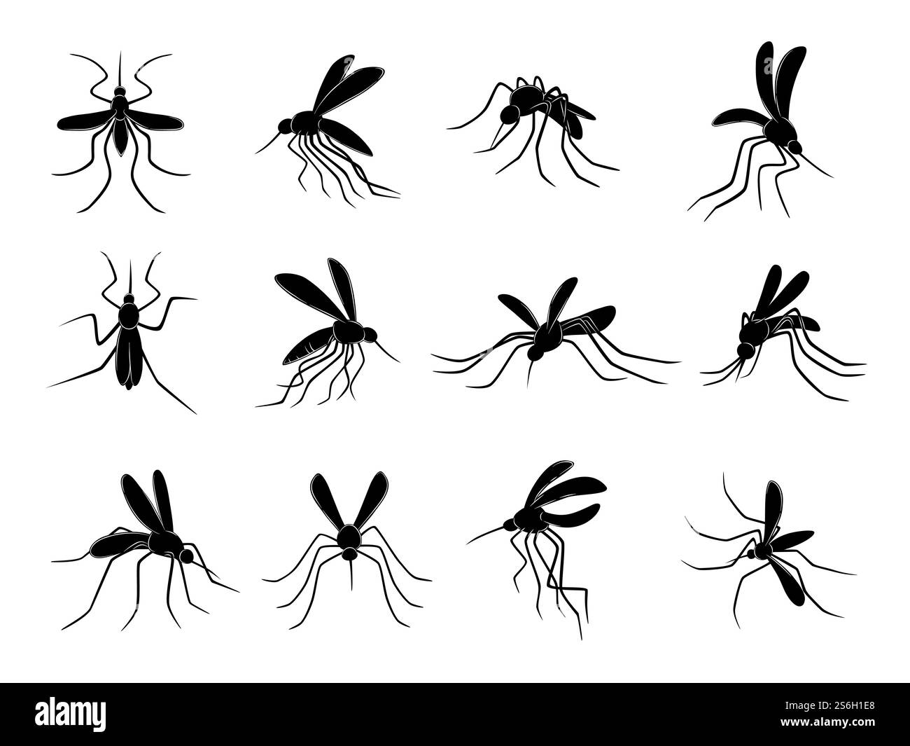 Mosquito. Flying insects carriers of viruses bloodsuckers vector drawn ...