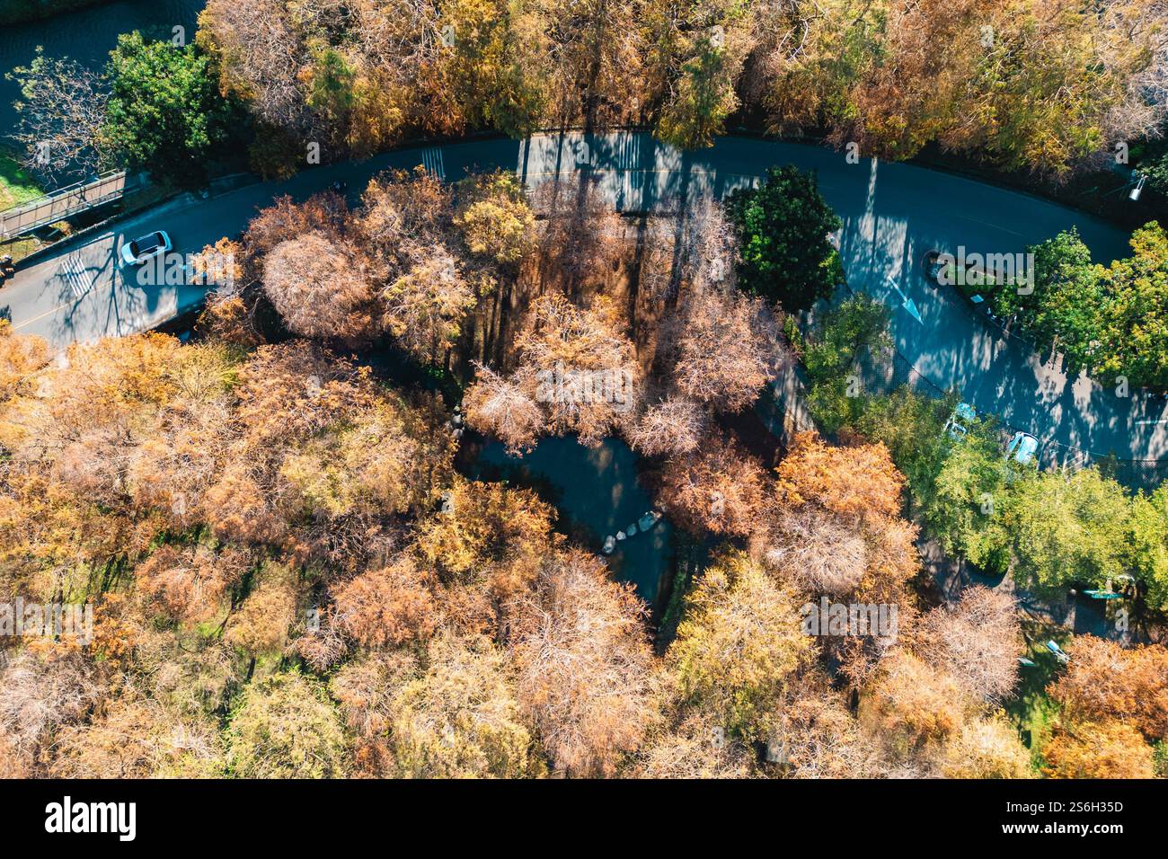 Aerial view of Cyprass at Luodong Sports Park in Yilan County, Taiwan ...