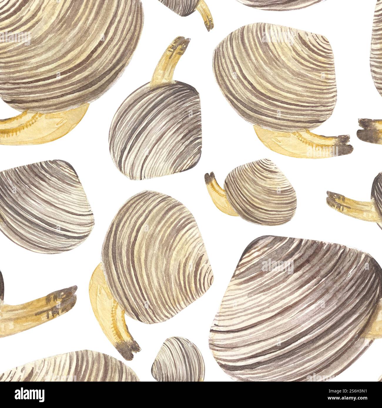 Clams in a shell watercolor seamless pattern isolated on white. High ...