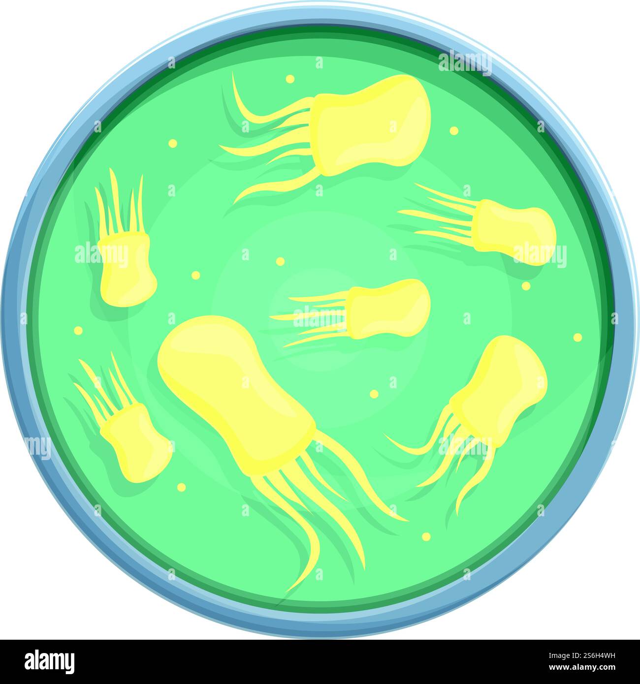 Petri dish magnification icon. Cartoon of Petri dish magnification ...