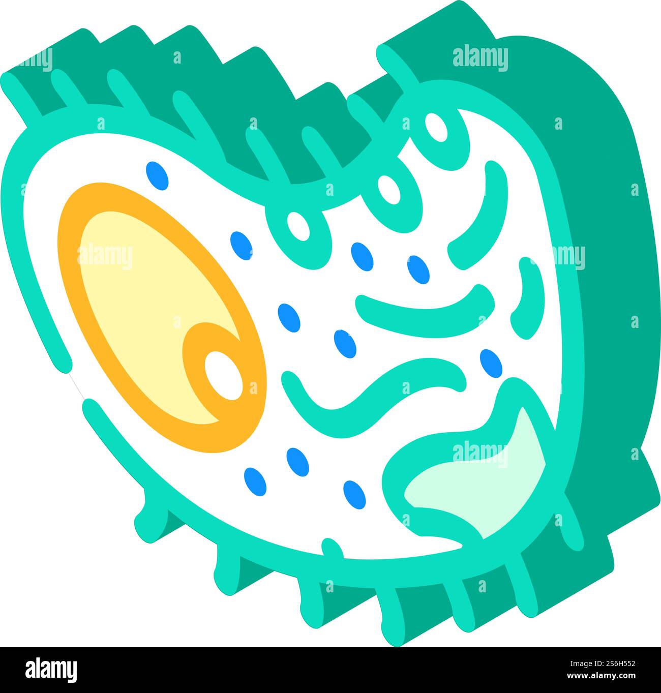 bacteria biogas isometric icon vector. bacteria biogas sign. isolated ...