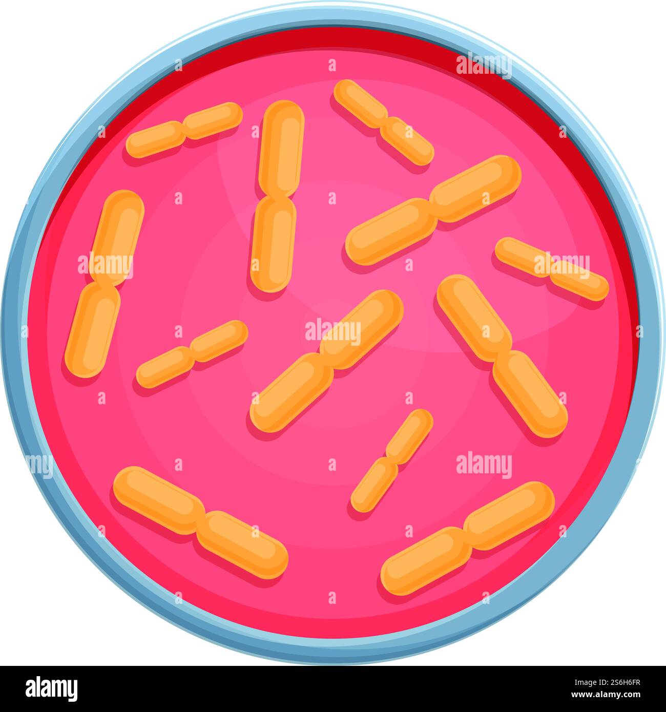 Petri dish medical icon. Cartoon of Petri dish medical vector icon for ...