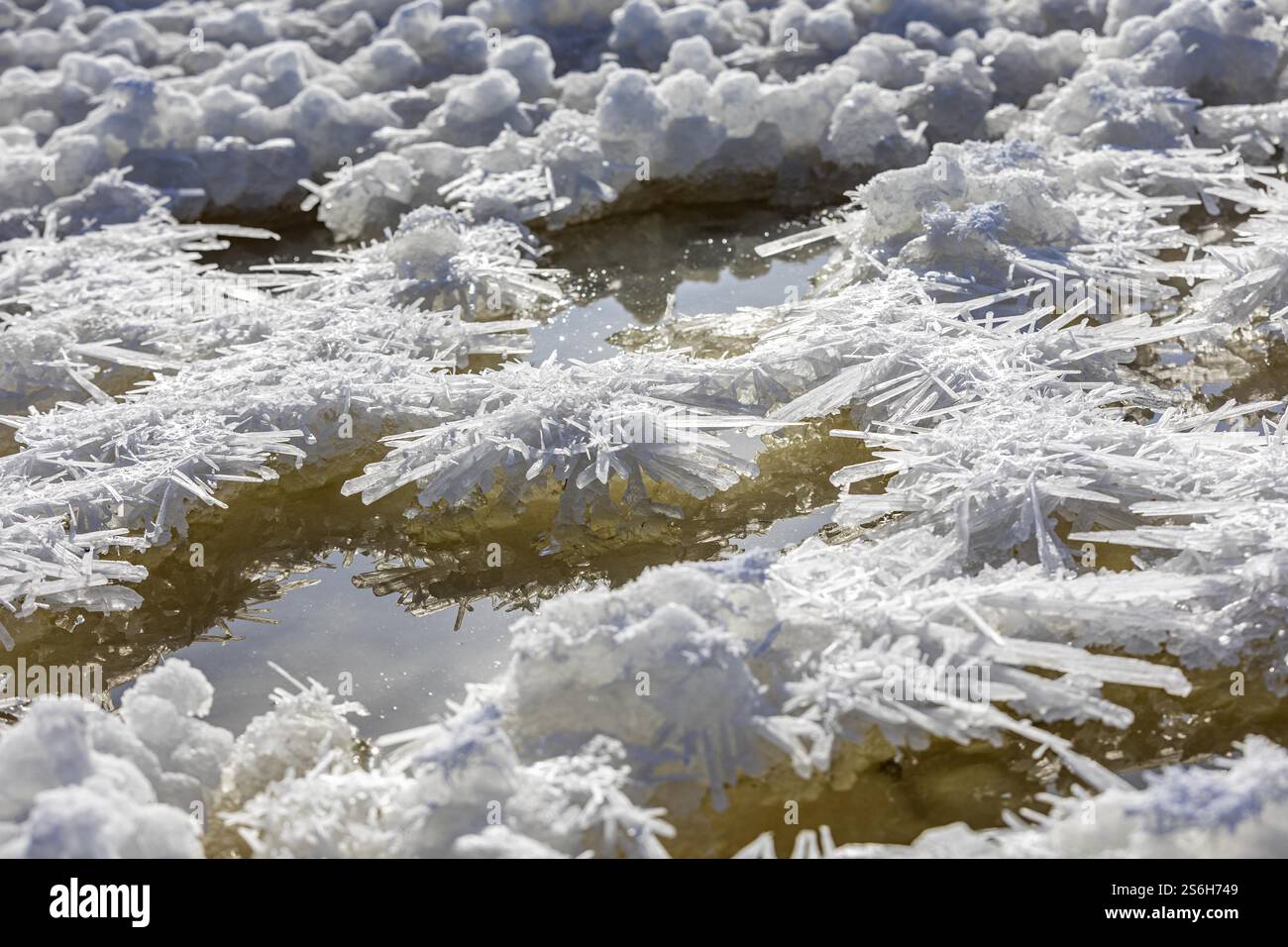 "Mirabilite flowers" appear on the surface of a salt lake in Yuncheng ...