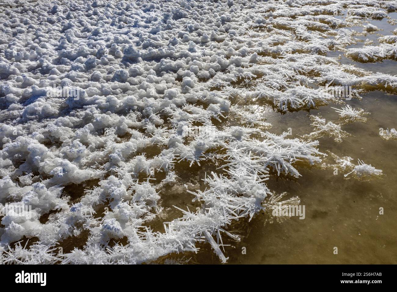 "Mirabilite flowers" appear on the surface of a salt lake in Yuncheng ...
