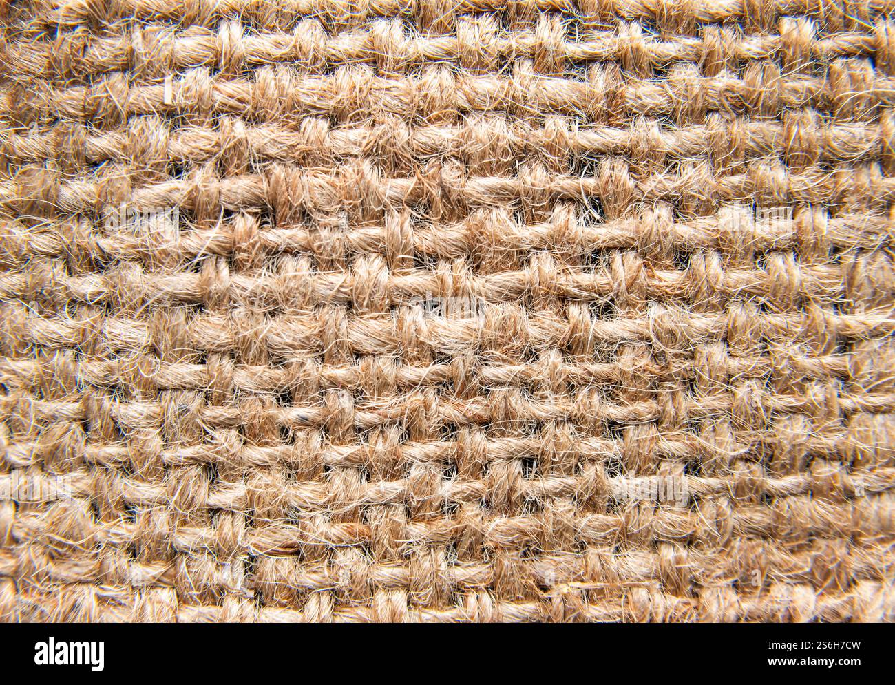 Close-up view of jute fabric reveals detailed weaving techniques and ...
