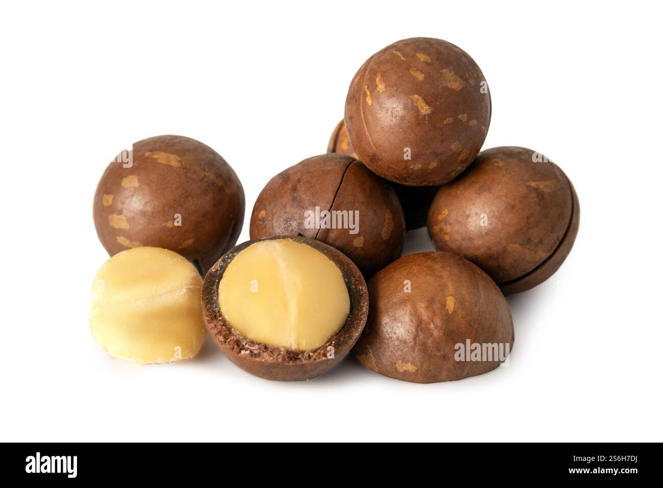 A variety of macadamia nuts are arranged to highlight their firm shells ...