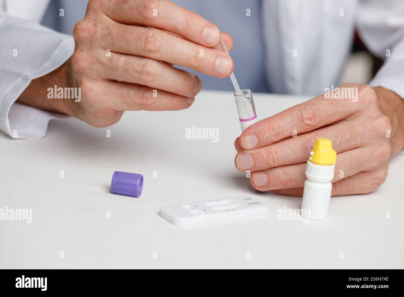 Diagnostic Vet Blood test. Rapid test for detection of FIV and FeLV in ...