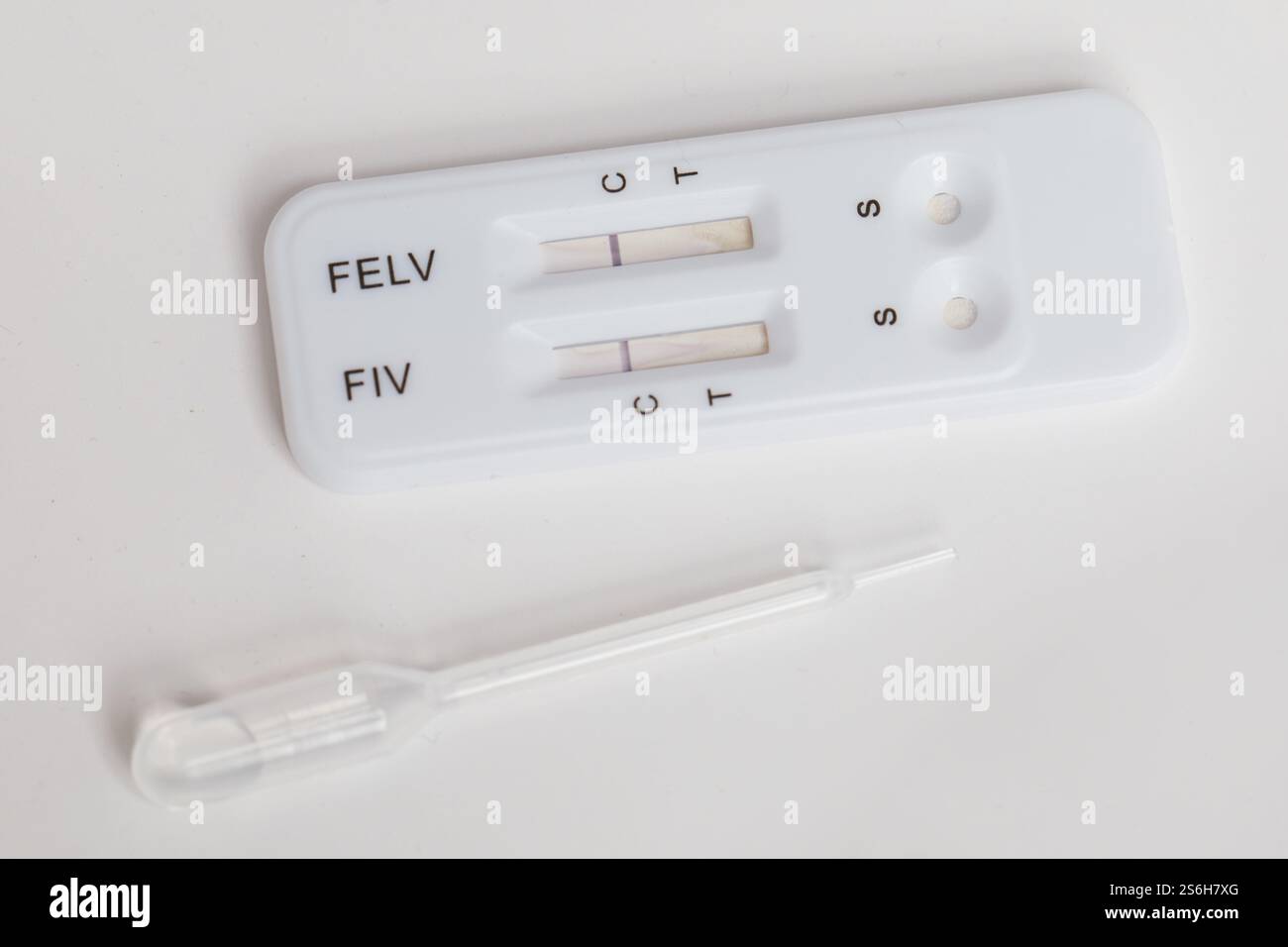Diagnostic Test FeLV and FIV. Feline leukemia virus (FeLV) and feline ...