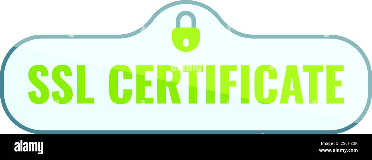 Data ssl certificate icon. Cartoon of Data ssl certificate vector icon for web design isolated ...