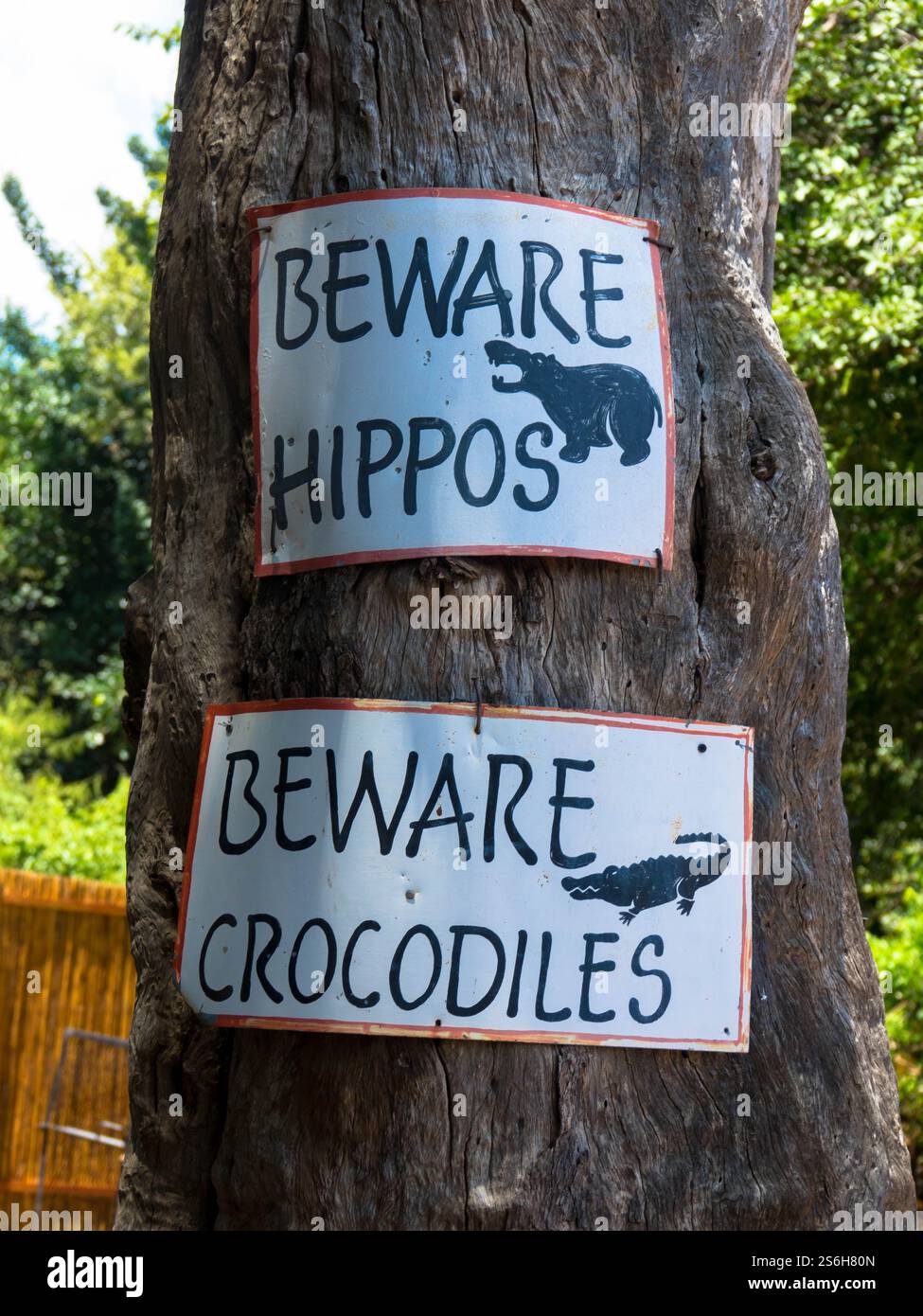 Sign with handwriting. Beware Hippos and crocodiles. A warning for ...