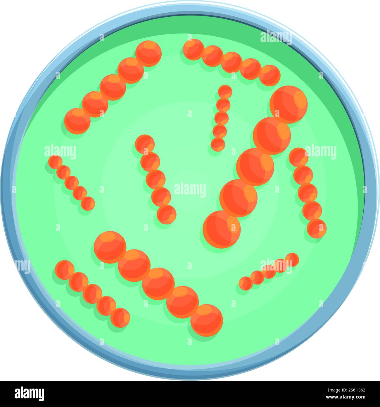Petri dish chemical icon. Cartoon of Petri dish chemical vector icon ...