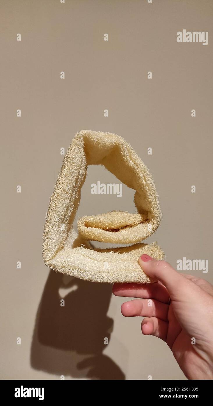 Natural loofah sponge folded and held by a hand from egypt, marsa alam ...