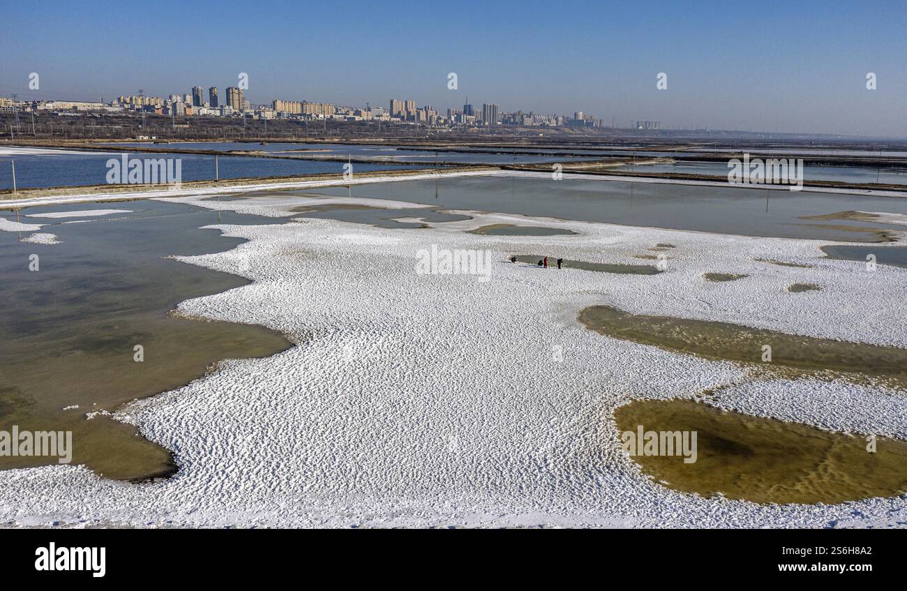"Mirabilite flowers" appear on the surface of a salt lake in Yuncheng ...