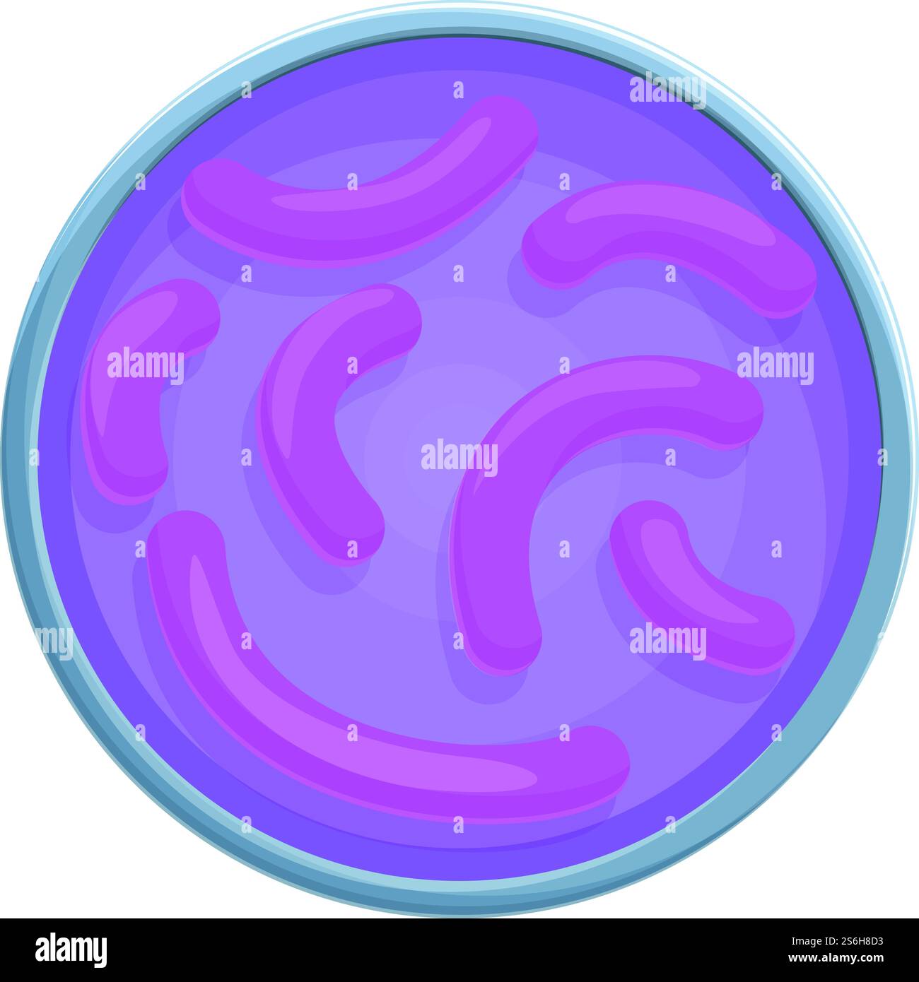 Petri dish pipette icon. Cartoon of Petri dish pipette vector icon for ...