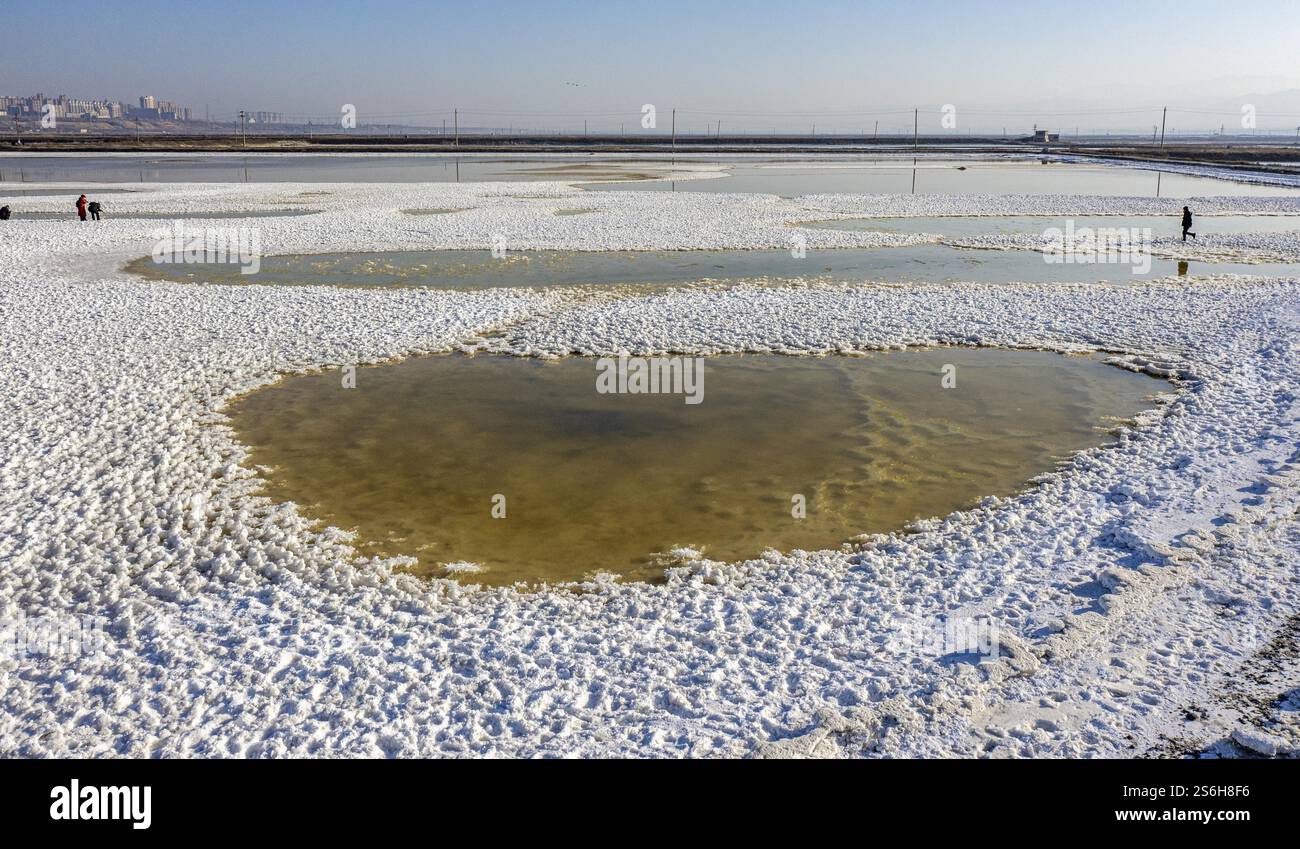"Mirabilite flowers" appear on the surface of a salt lake in Yuncheng ...