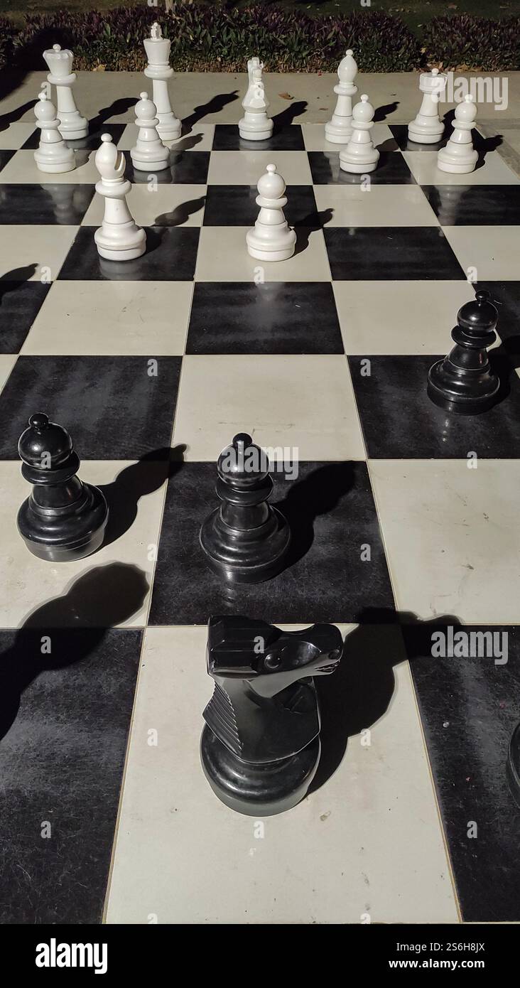 Giant chess pieces casting long shadows on a giant chessboard at sataya ...
