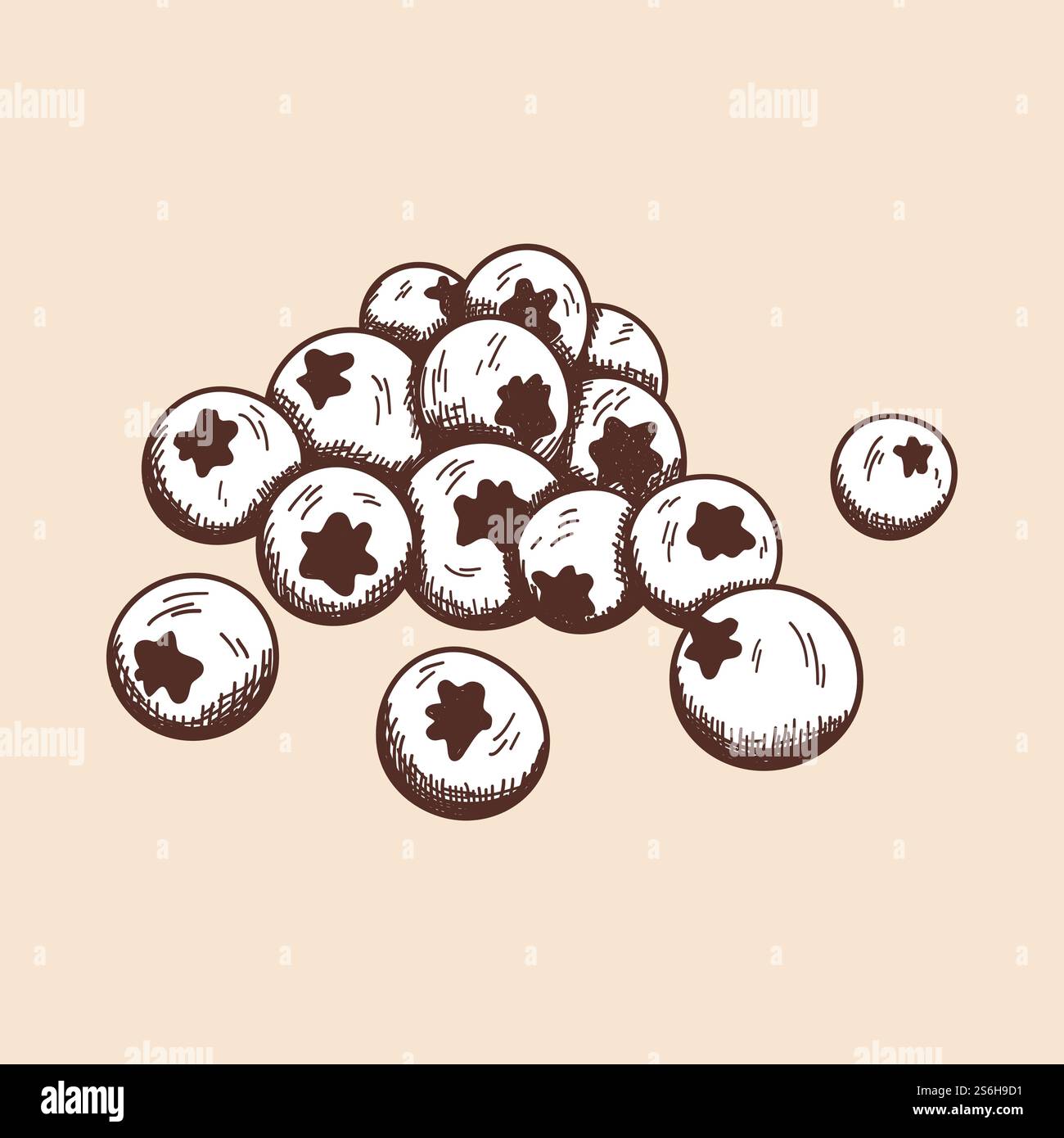 Icon Of Blueberry. Hand Drawn Sketch. Retro Vintage Design. Vector ...