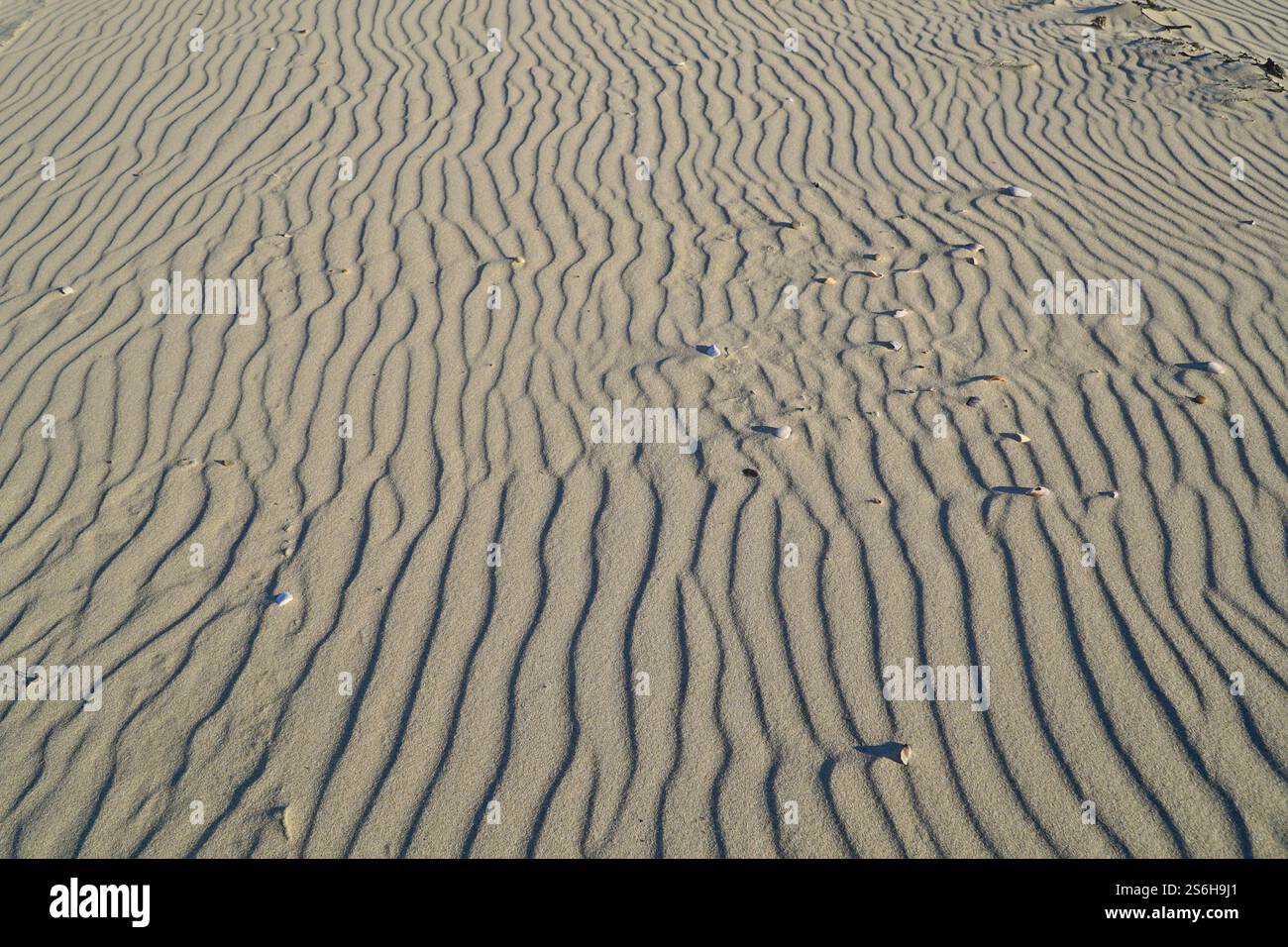 Lined and rippled patterns in beach sand created by wind erosion Stock ...