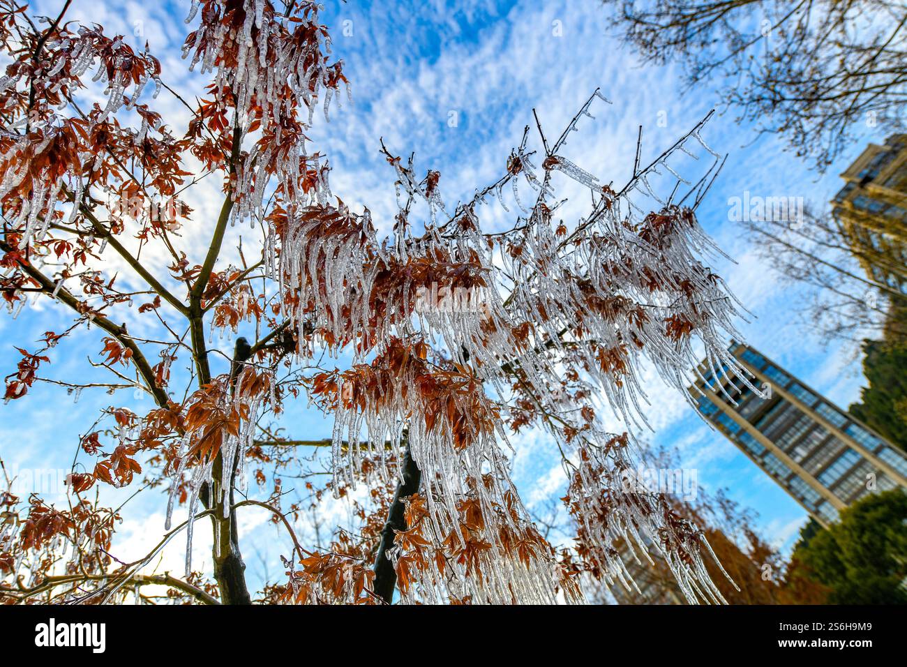 Stunning icicle views appear at Qiandaohu Square in Hangzhou City, east ...