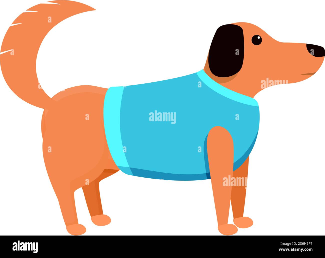 Wool dog clothes icon. Cartoon of Wool dog clothes vector icon for web ...