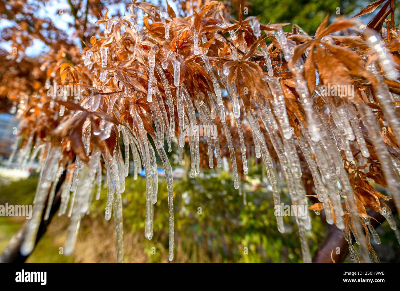Stunning icicle views appear at Qiandaohu Square in Hangzhou City, east ...