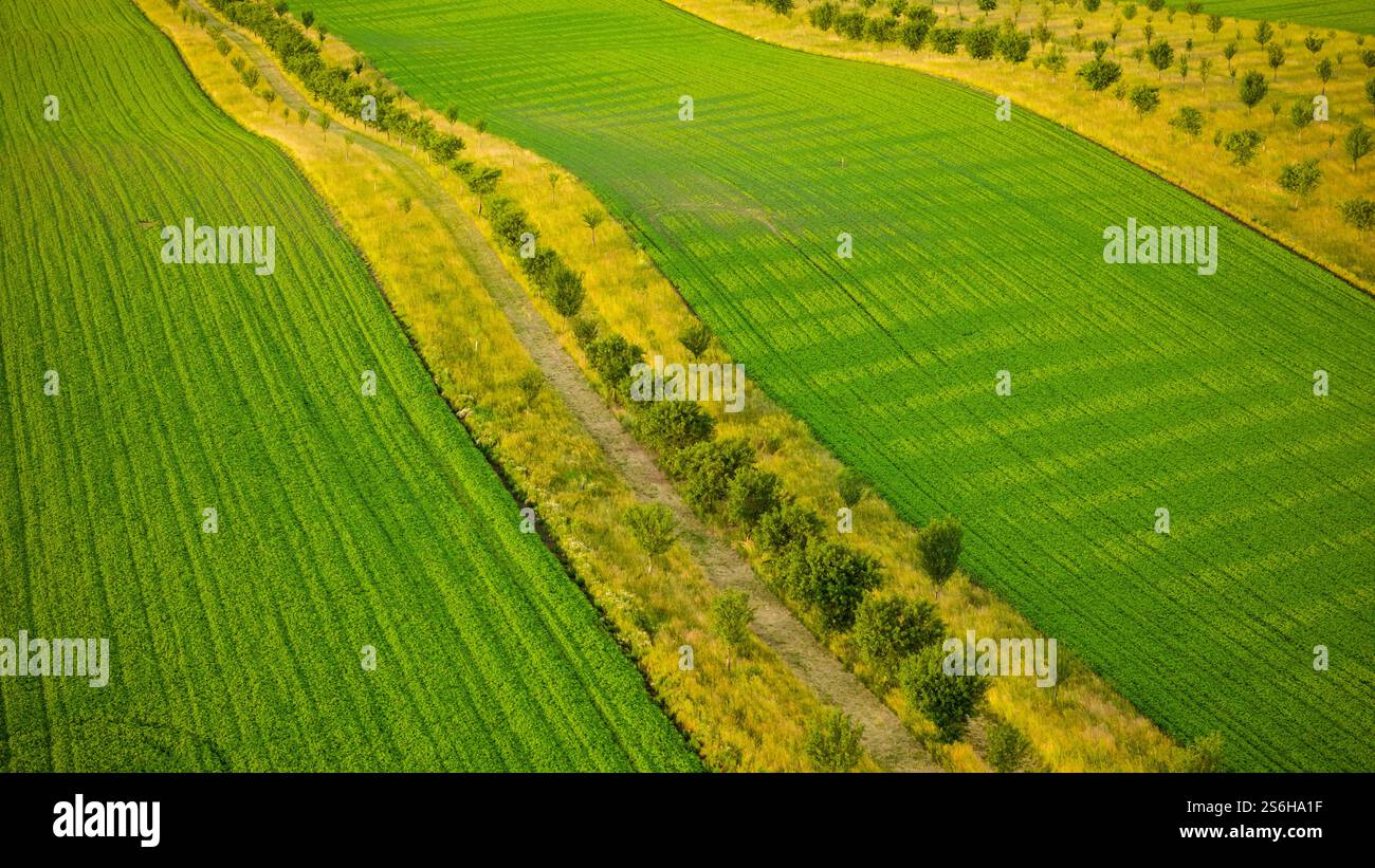 Rural drone aerial view landscape of farm fields and rolling hills in ...