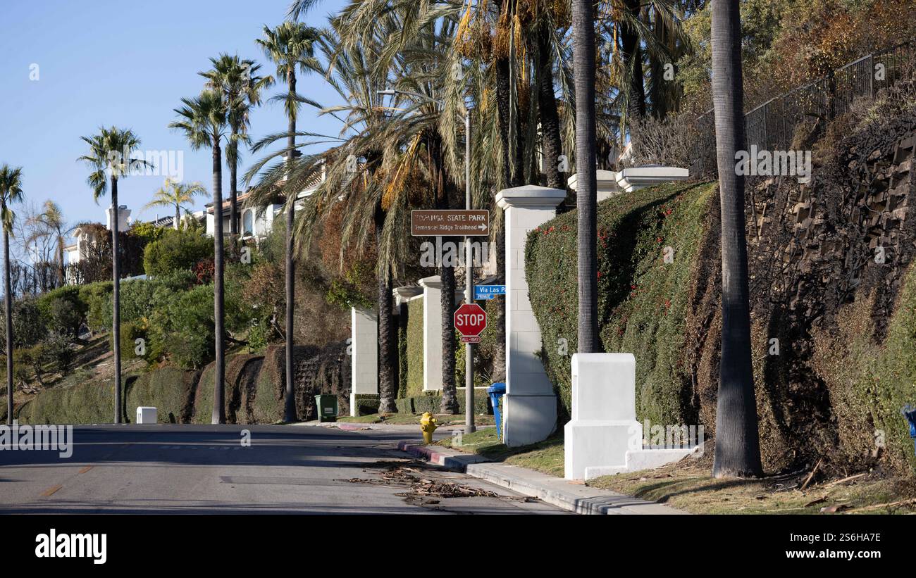 Pacific Palisades, California, USA. 16th Jan, 2025. BROWN TOPANGA ...
