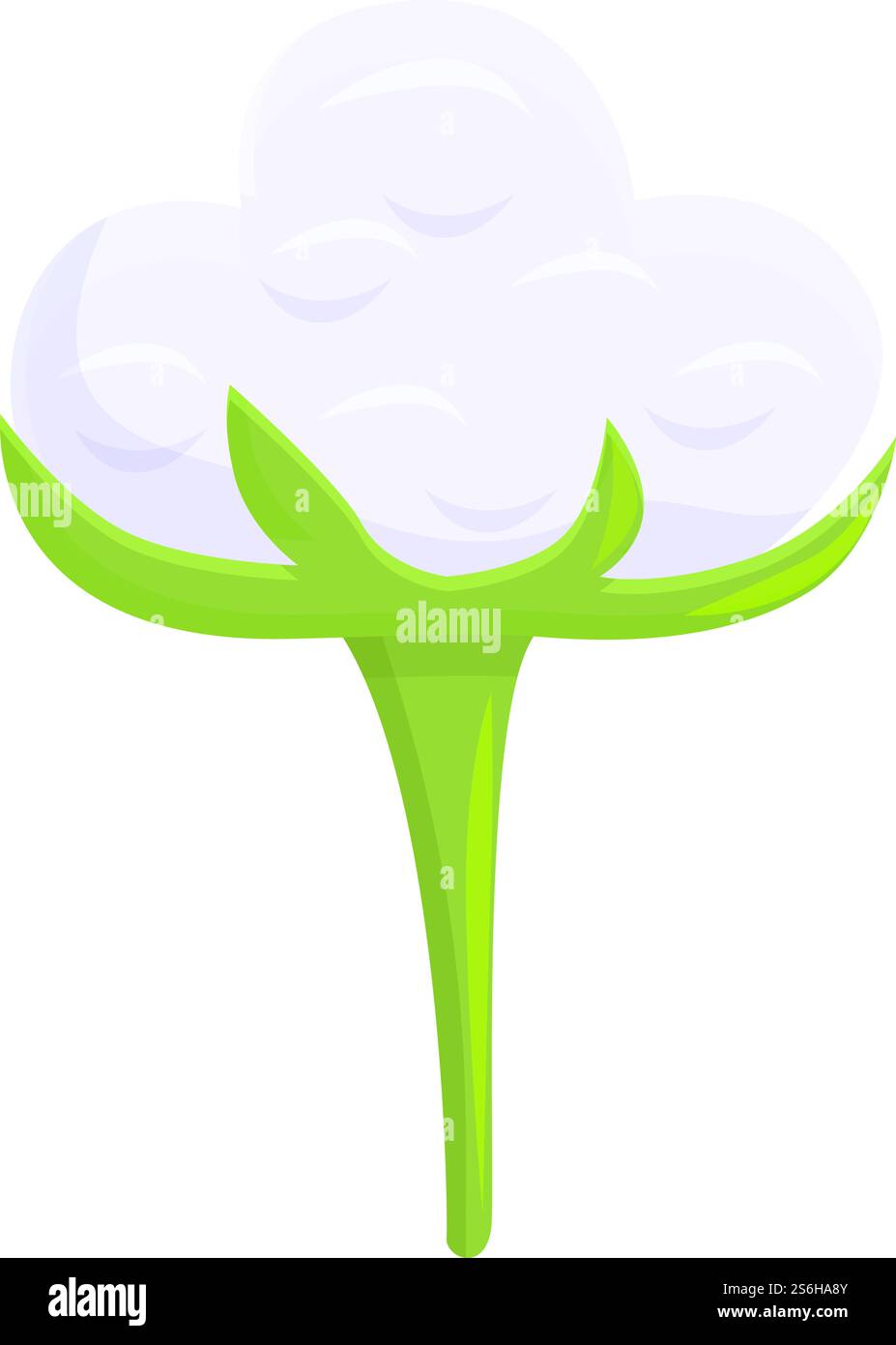 Cotton plant icon. Cartoon of Cotton plant vector icon for web design ...