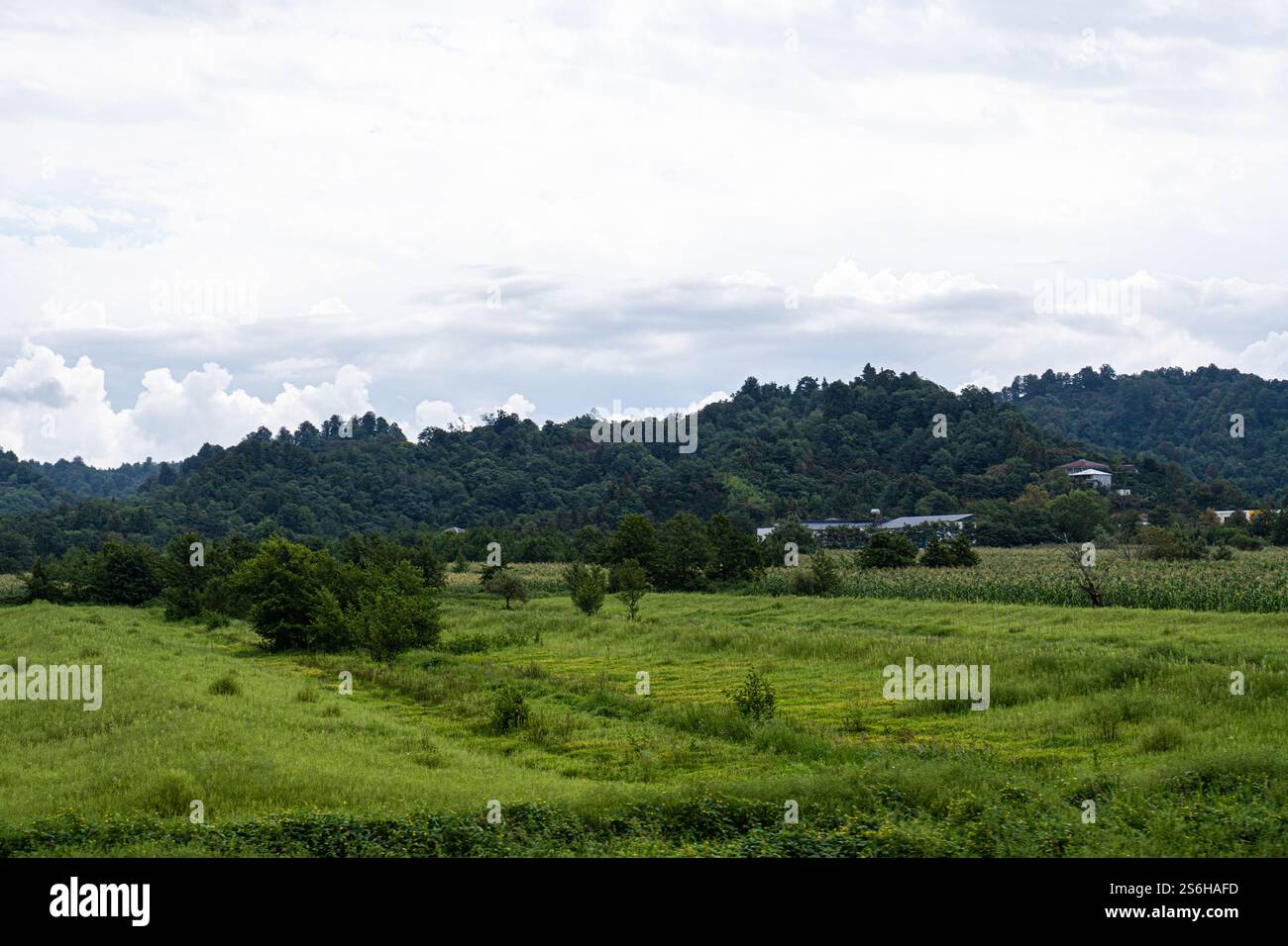 Rural summer landscape in Georgia Stock Photo - Alamy