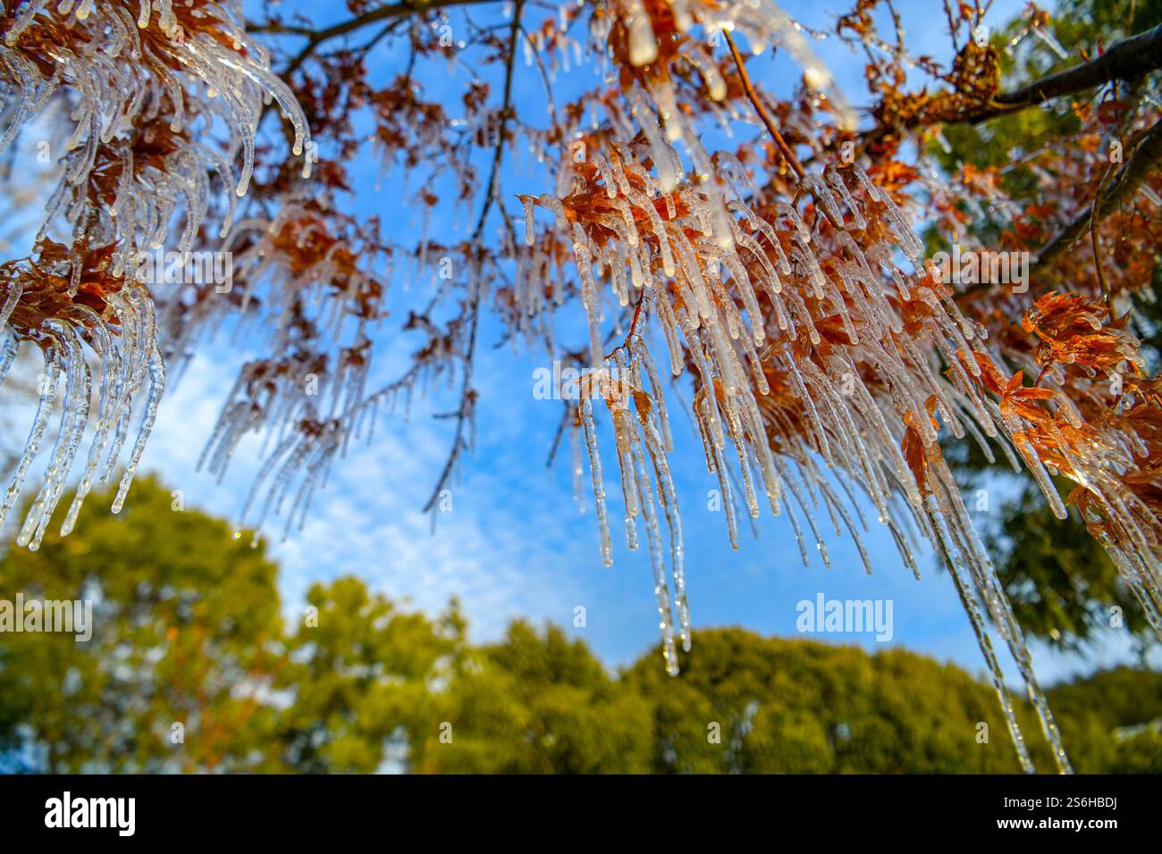 Stunning icicle views appear at Qiandaohu Square in Hangzhou City, east ...