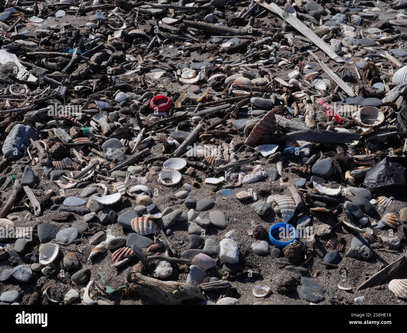 Washed up shells and plastic waste lie in the sand on the beach in ...