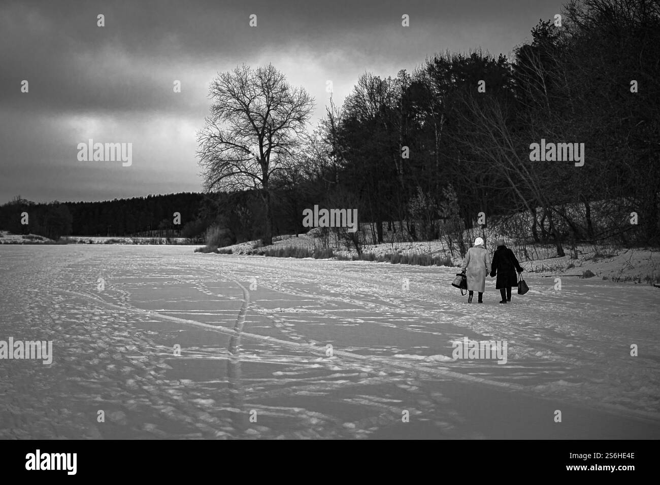 Beautiful winter nature landscape Black and White Stock Photos & Images ...