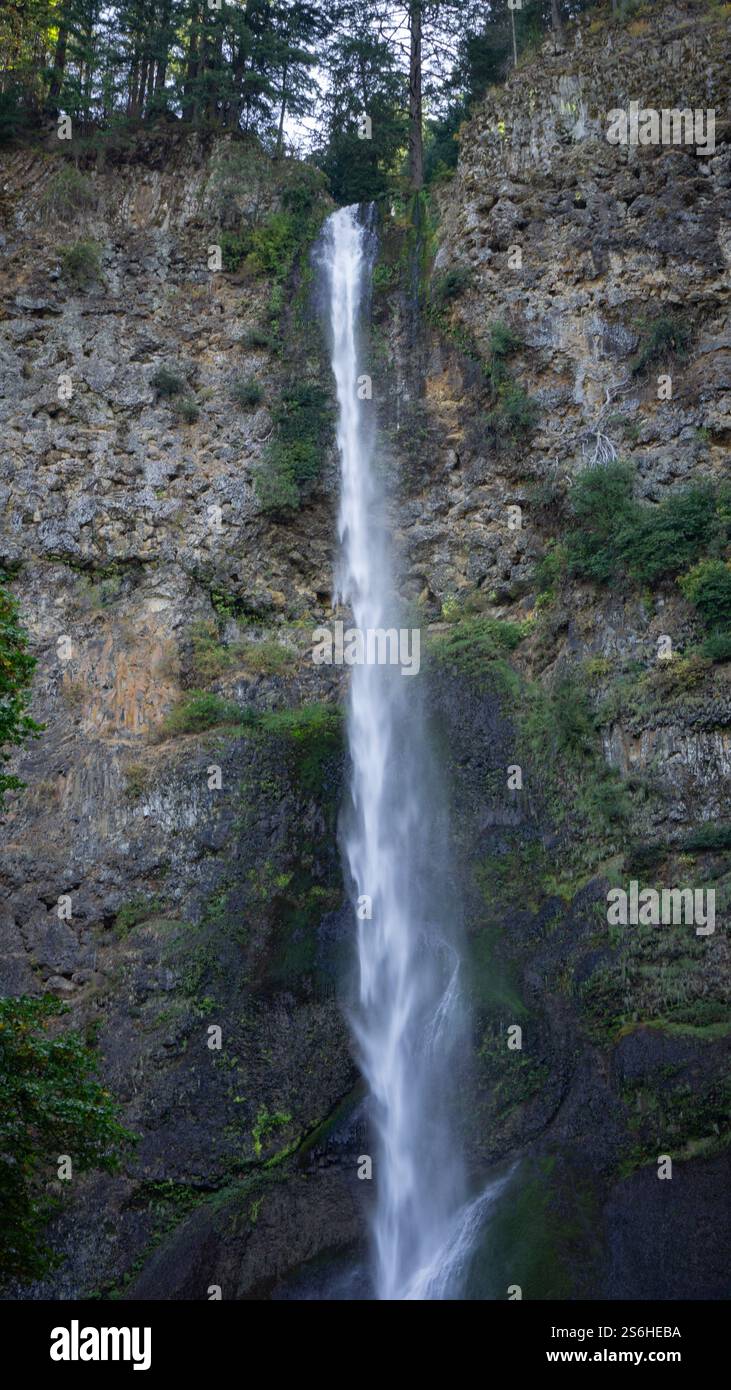 tall waterfall plunging down a rugged cliff surrounded by trees Stock ...