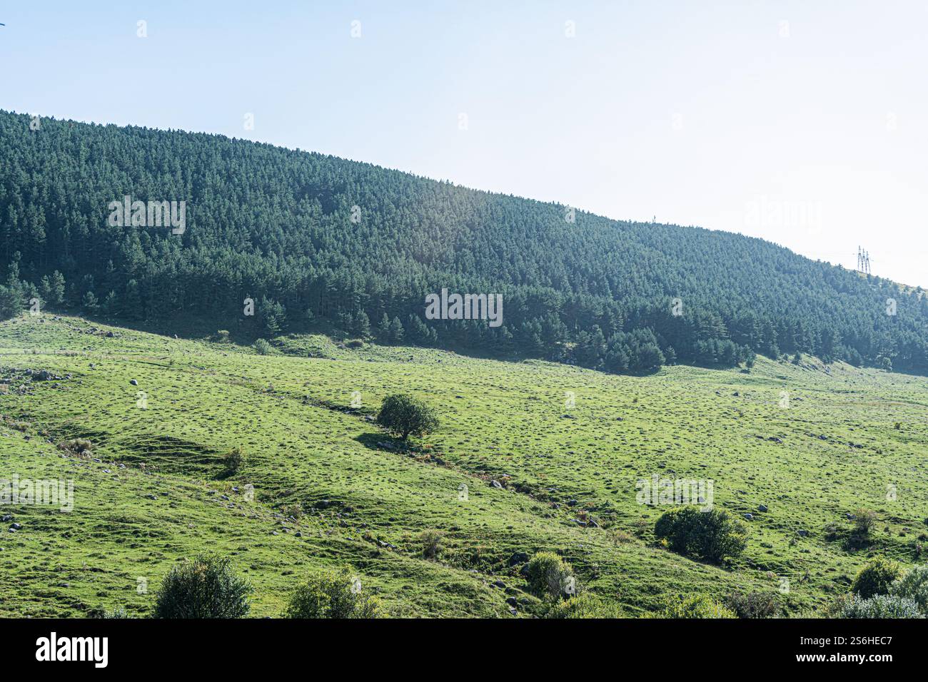 Rural landscape with canyon and river close to Tsalka town in Shida ...