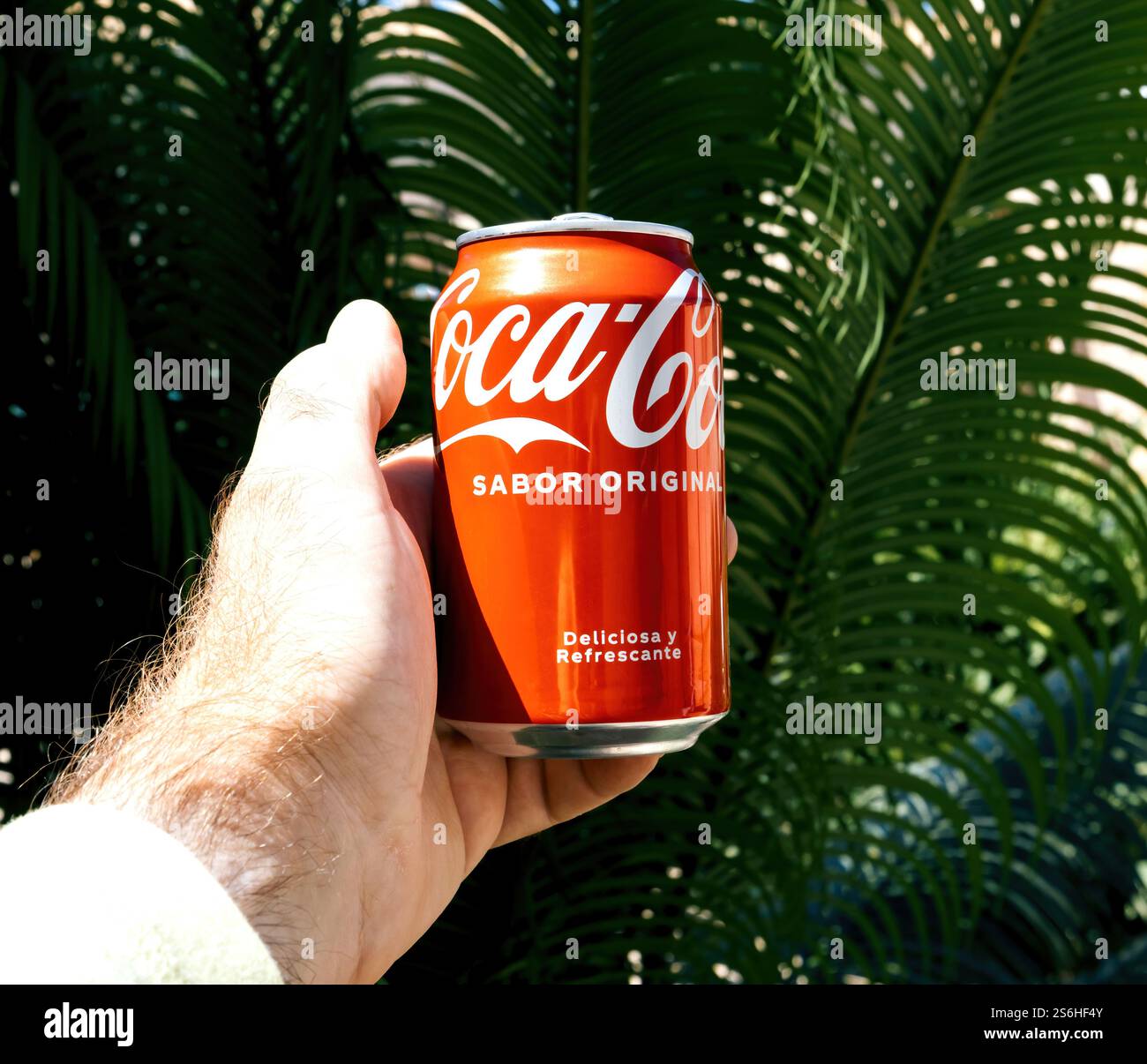 Mallorca, Spain - Jul 7, 2024: A hand holding a red Coca-Cola can with ...