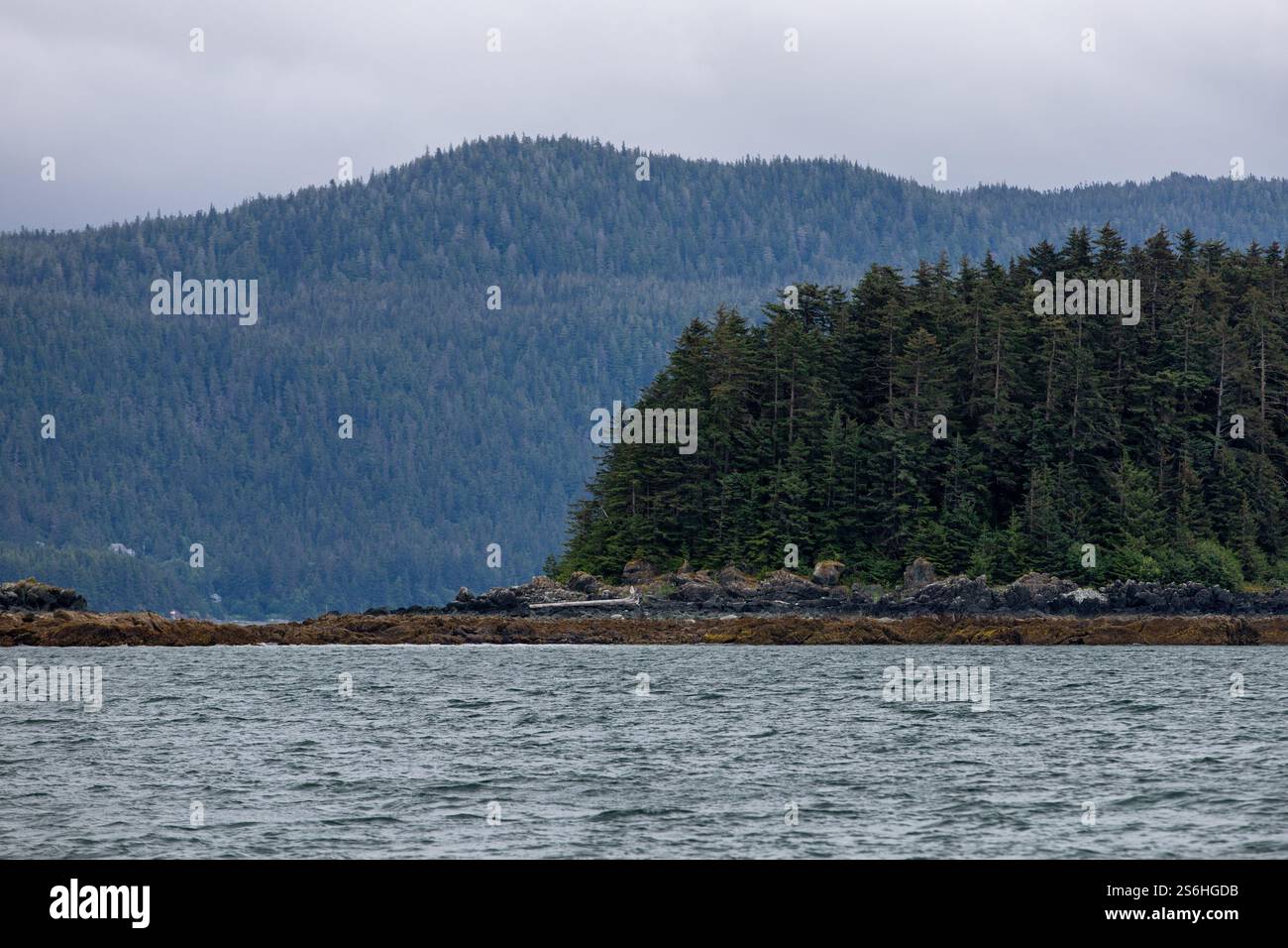 Wooded island off the Alaskan coast with lodgepole pines Stock Photo ...
