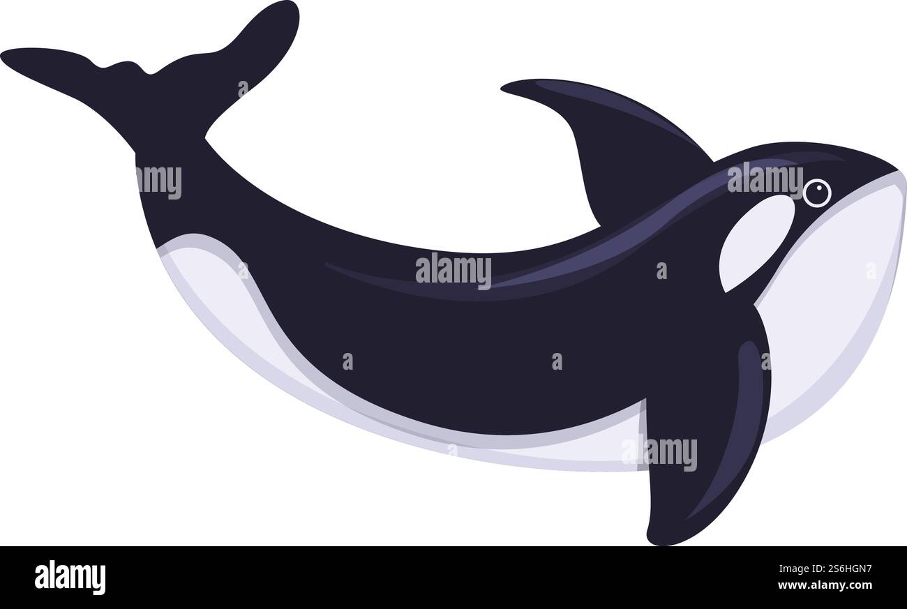 Killer whale fish icon. Cartoon of Killer whale fish vector icon for ...