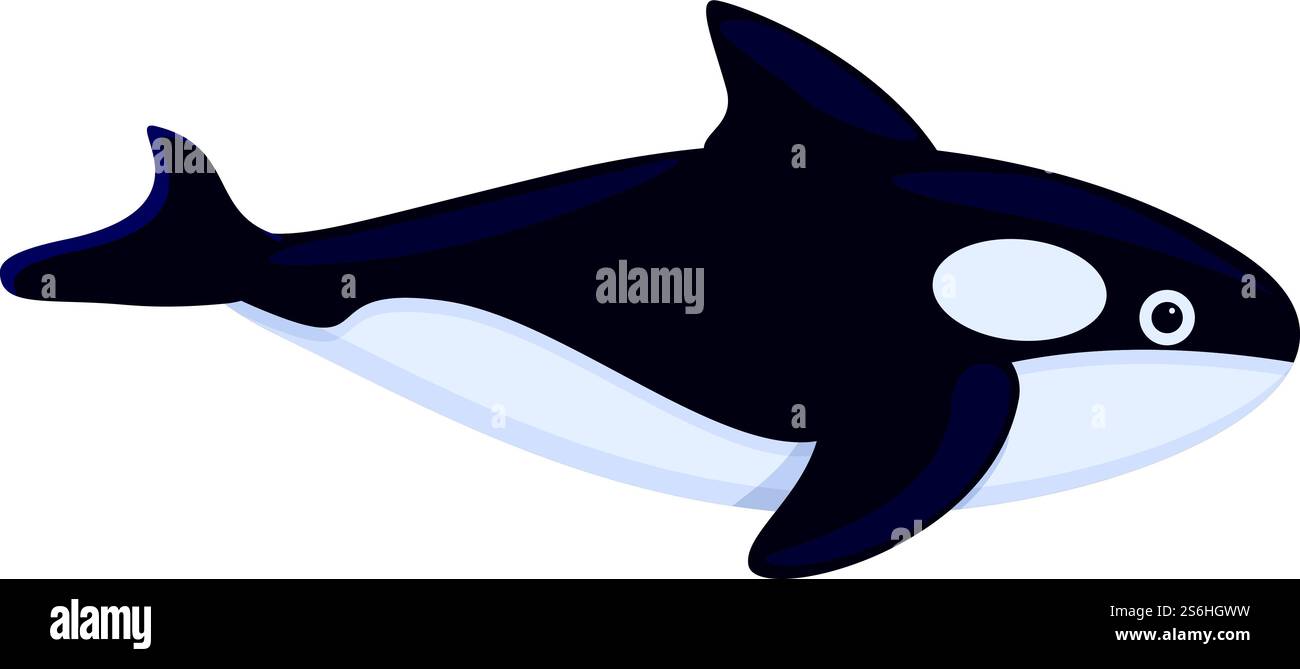 Pacific killer whale icon. Cartoon of Pacific killer whale vector icon ...