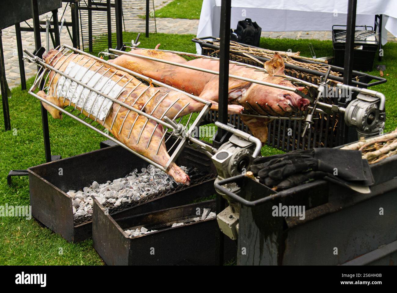 Whole pigs roasting over hi-res stock photography and images - Alamy