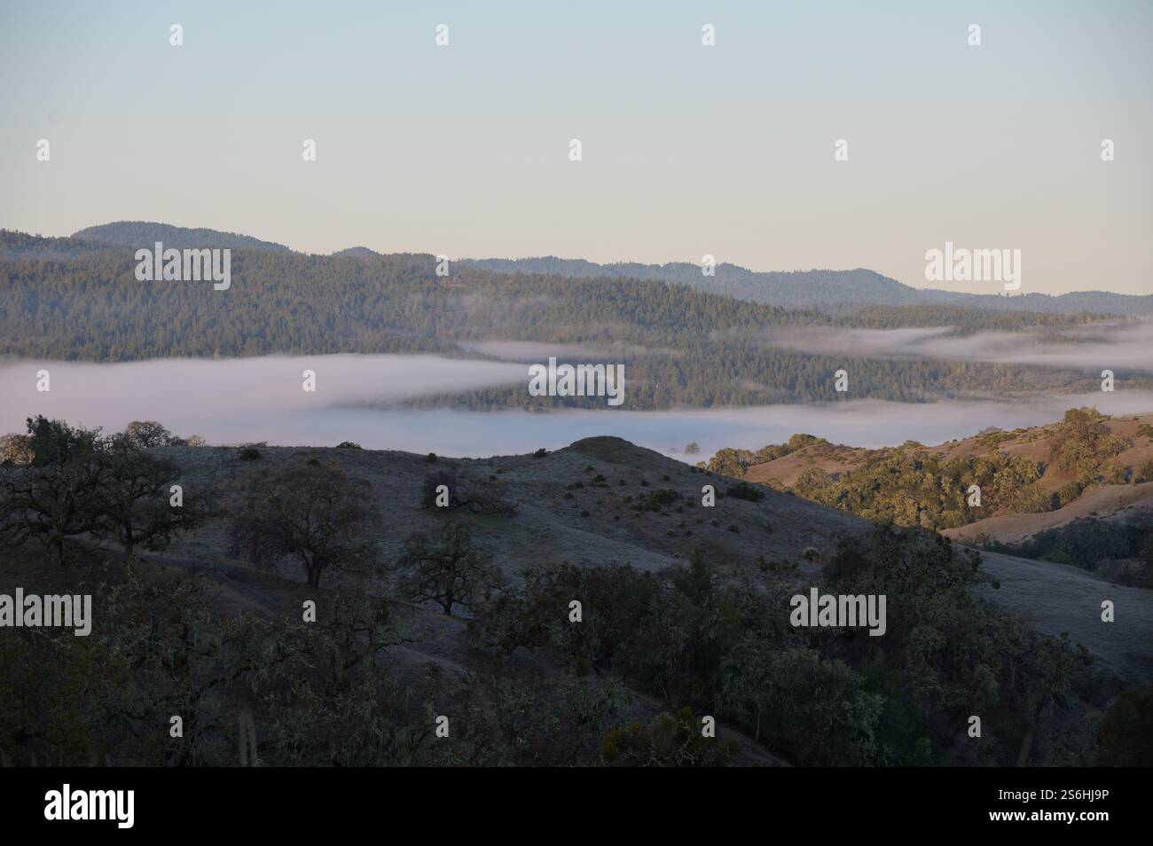 Quiet unveiling hi-res stock photography and images - Alamy