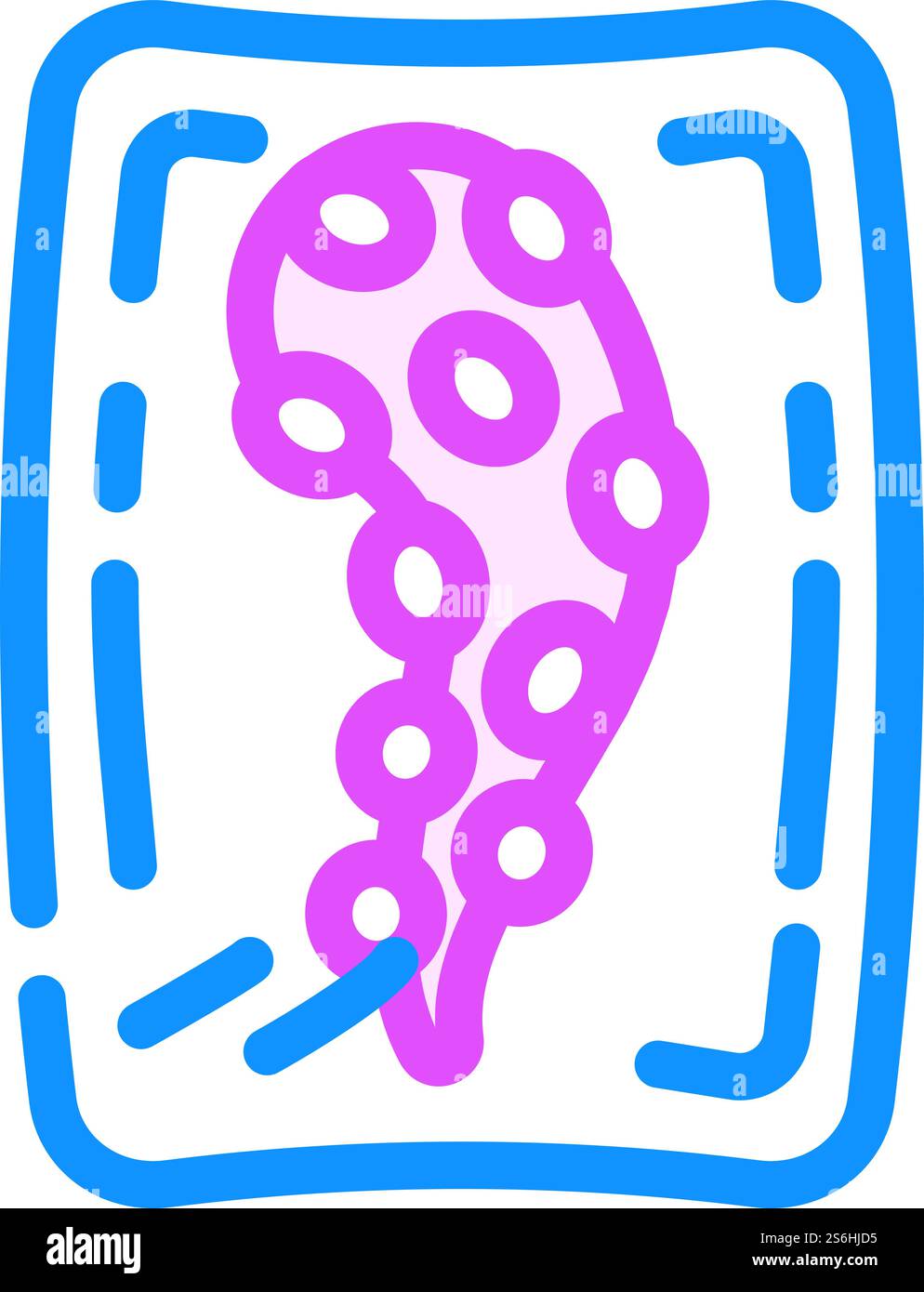 octopus tentacles package color icon vector. octopus tentacles package ...