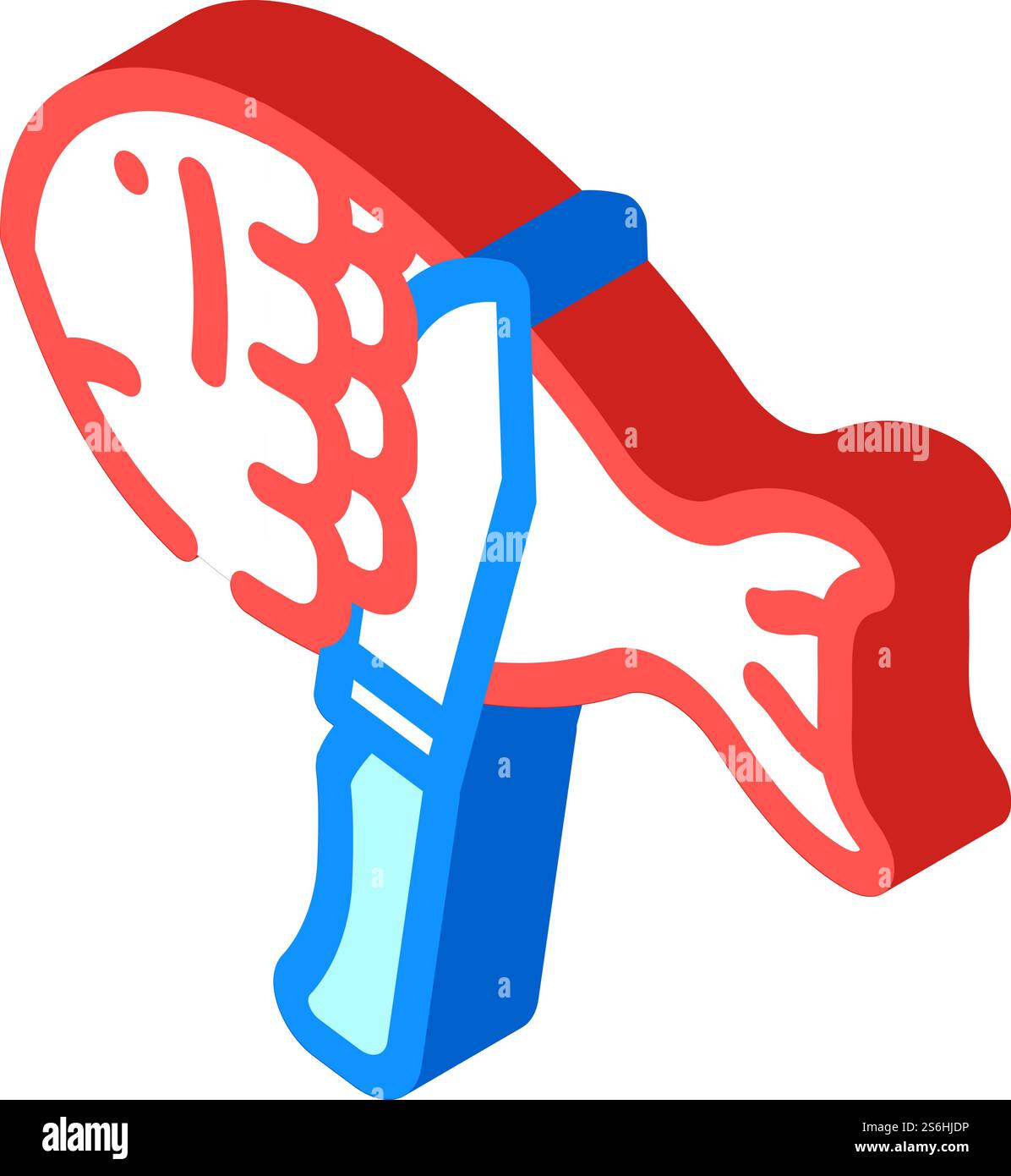 cleaning fish isometric icon vector. cleaning fish sign. isolated ...