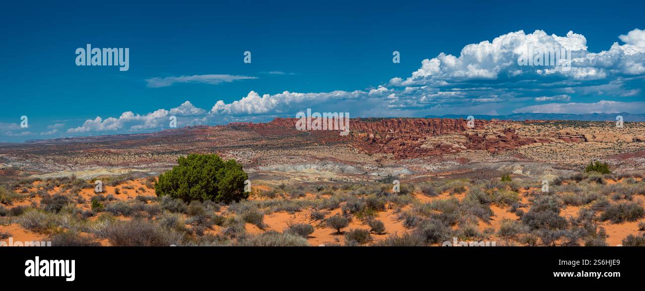 Expansive arches hi-res stock photography and images - Alamy