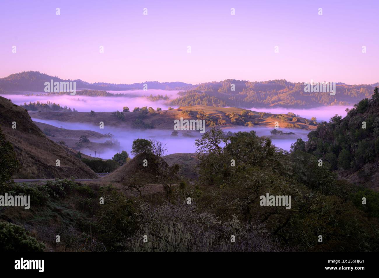 Misty Valley Dawn in Anderson Valley Stock Photo - Alamy